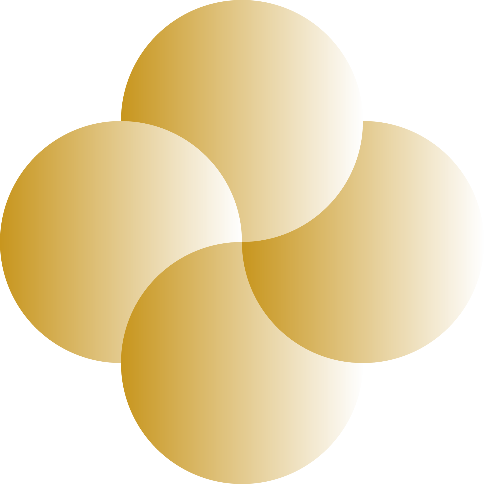 Achat Or & Vente Or | Gold Service